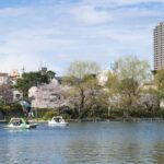 Tokyo: Shakujii Park Tour with Lacal Udon - The Samurai Castle Ruins: Echoes of a Medieval Japan