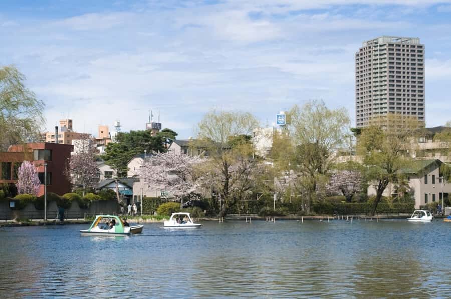 Tokyo: Shakujii Park Tour with Lacal Udon - The Samurai Castle Ruins: Echoes of a Medieval Japan