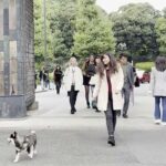 Tokyo Shiba Inu Walk | Picnic with Ginta at Edo Castle Gardens - The Value of This Experience