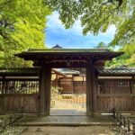 Tokyo: Shibuya E-Scooter Guided Tour in Hidden Neighborhood - The Overall Value