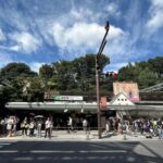 Tokyo: Shibuya, Harajuku & Meiji Shrine Walking Tour - What makes this tour stand out?