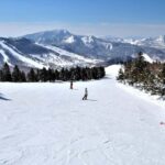 Tokyo: Shiga Kogen Ski Resort day Tour With English driver - Who Will Love This Tour?