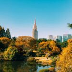 Tokyo: Shinjuku Gyoen Autumn Leaves Stroll (Entry Included) - Who Should Consider This Tour?