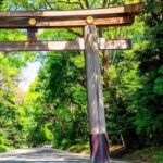 Tokyo: Shinjuku Gyoen, Meiji Shrine, and Shibuya Tour - The Itinerary in Detail