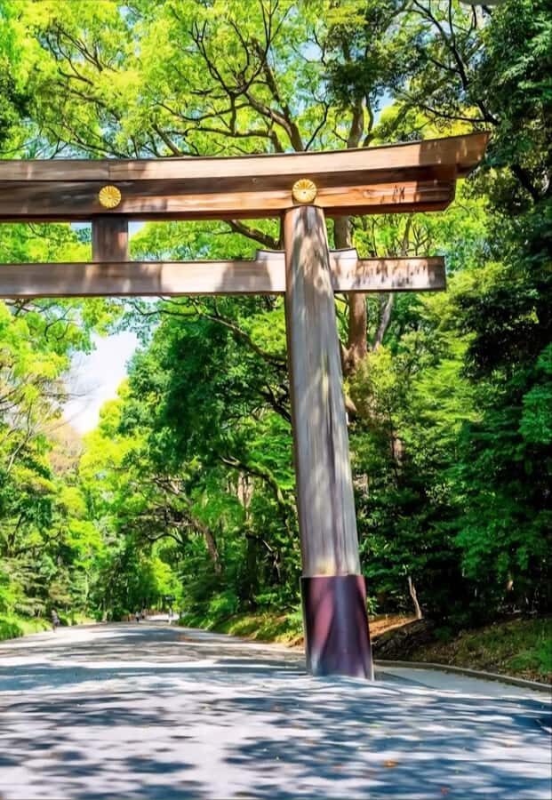 Tokyo: Shinjuku Gyoen, Meiji Shrine, and Shibuya Tour - The Itinerary in Detail