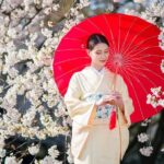 Tokyo Shinjuku Gyoen Premium Silk Kimono Rental with Dressing - A Deep Dive into the Experience