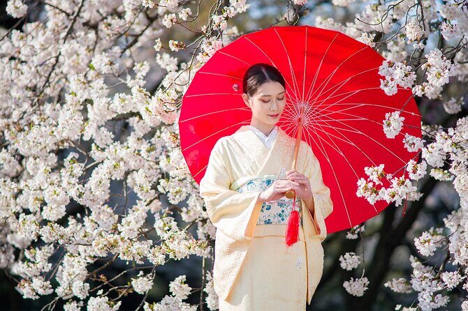 Tokyo Shinjuku Gyoen Premium Silk Kimono Rental with Dressing - A Deep Dive into the Experience