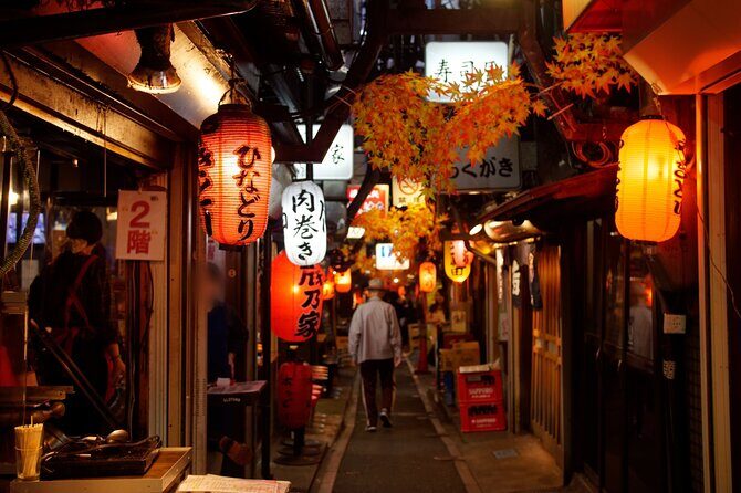 Tokyo: Shinjuku Local Eats, Street Food Tour & Culture Walk - Who Is This Tour Best For?