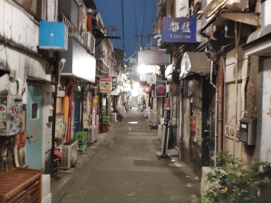 Tokyo: Shinjuku Night Tour to Kabukicho with Bar Hopping - The Practical Details