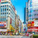 Tokyo: Shinjuku & Shibuya Walking Tour  City Highlights - What to Expect: The Itinerary