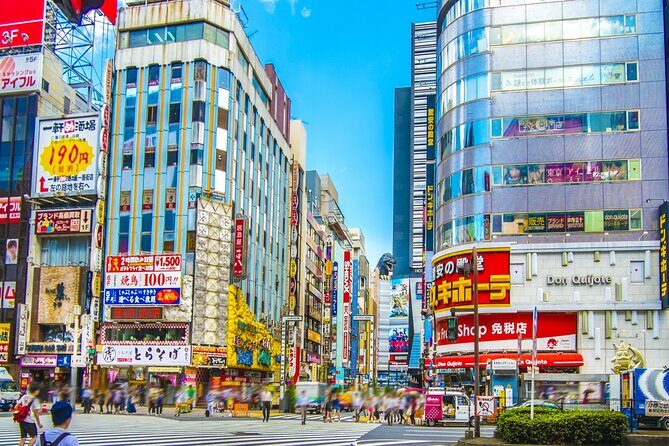 Tokyo: Shinjuku & Shibuya Walking Tour  City Highlights - What to Expect: The Itinerary