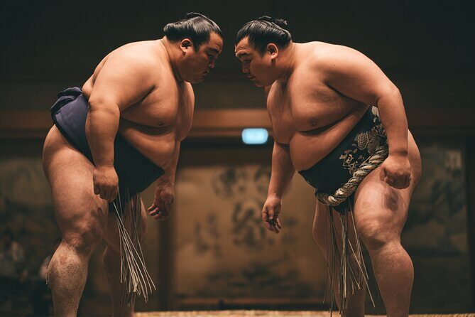 Tokyo Shinjuku Sumo Show and Experience with Drinks and Photo - Practical Details and Tips