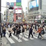 Tokyo: Shinjyuku & Shibuya 2-Hour City Tour - The Itinerary in Detail
