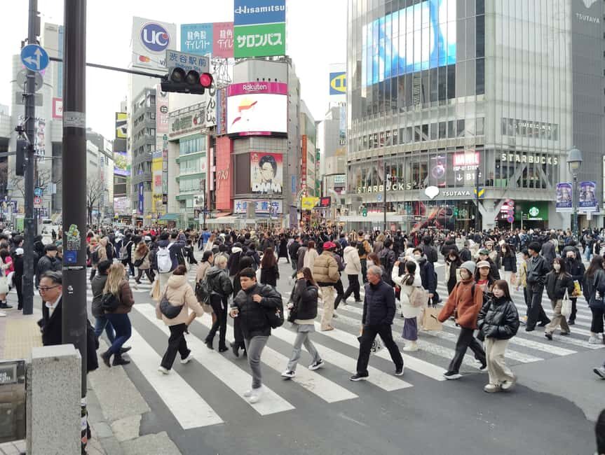 Tokyo: Shinjyuku & Shibuya 2-Hour City Tour - The Itinerary in Detail