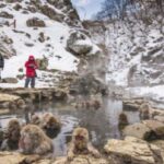 Tokyo: Snow Monkey Park and Zenkoji Temple Private Day Tour - Who Will Love This Tour?