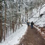 Tokyo: Snow Monkeys, Zenkoji Temple, & Obuse Day Trip - The Practicalities: What You Should Know