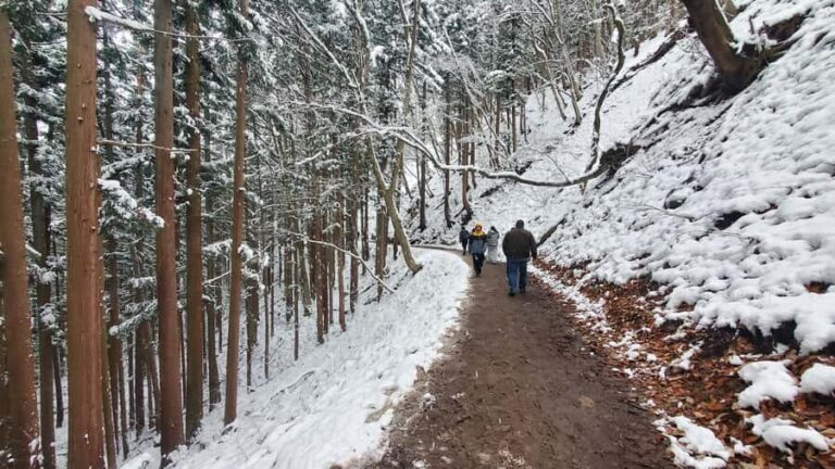 Tokyo: Snow Monkeys, Zenkoji Temple, & Obuse Day Trip - The Practicalities: What You Should Know