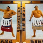 Tokyo: Step into tradition, sumo wrestlers and geisha - Why This Tour Offers Real Value