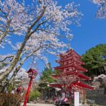 Tokyo Stunning Views of Mount Fuji Best-Selling One-Day Trip - Frequently Asked Questions