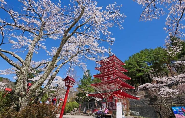 Tokyo Stunning Views of Mount Fuji Best-Selling One-Day Trip - Frequently Asked Questions