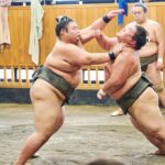 Tokyo: Sumo Morning Practice Viewing Tour at a Real Stable - Practical Details and Tips