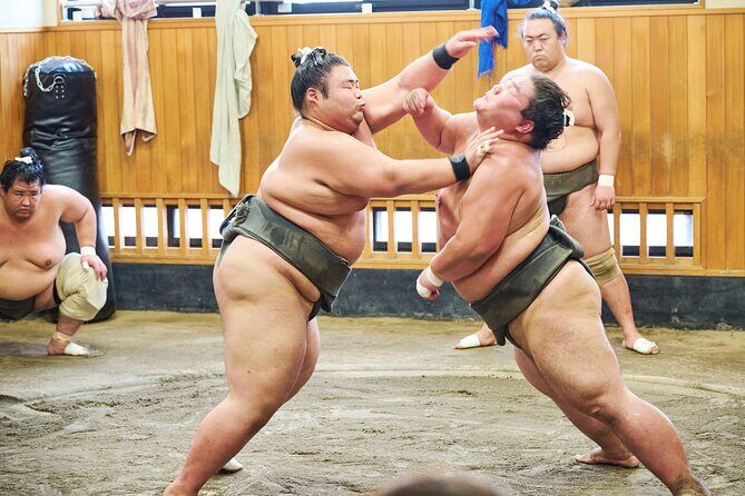 Tokyo: Sumo Morning Practice Viewing Tour at a Real Stable - Practical Details and Tips