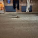 Tokyo: Sumo Wrestling Experience with Former Wrestlers - The Program Breakdown