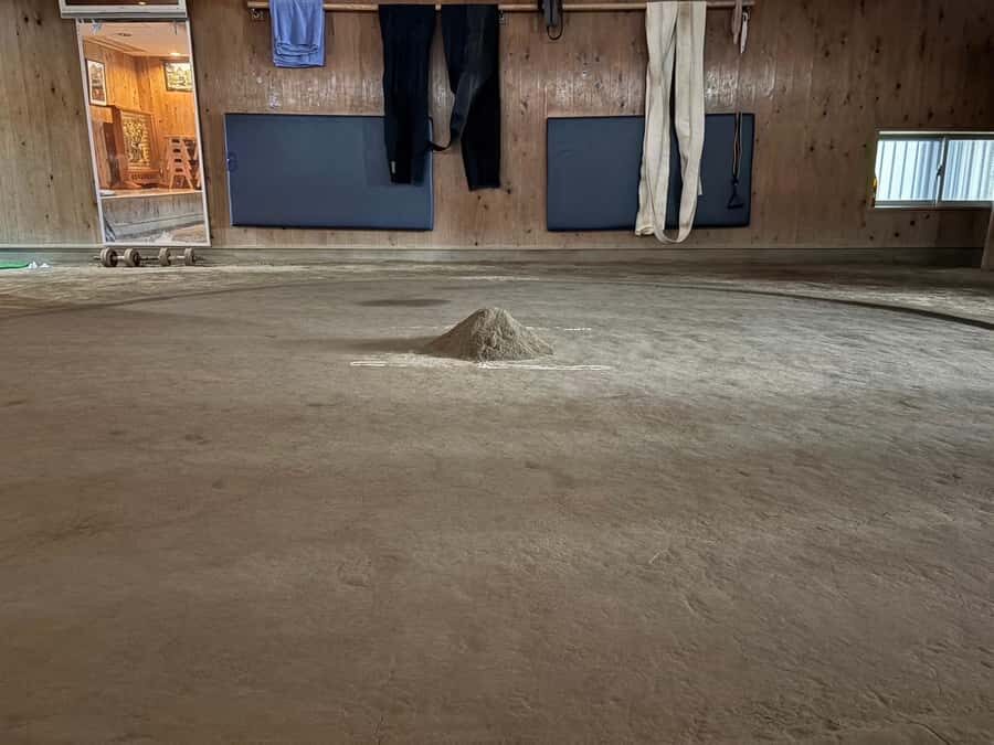 Tokyo: Sumo Wrestling Experience with Former Wrestlers - The Program Breakdown