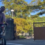 TOKYO: Tailored Gardens Tour with Pro Gardener by E-bike -LIGHT - Why This Tour Might Be Perfect for You