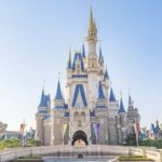 Tokyo Tailored Private Tour - What Makes the Tokyo Tailored Private Tour Stand Out