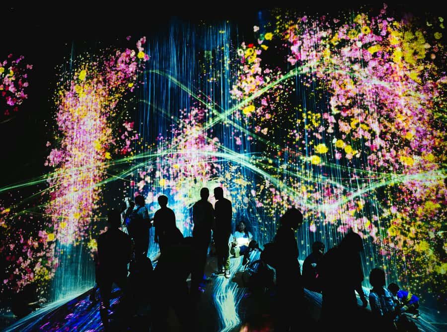 Tokyo: TeamLab Borderless & Roppongi Art Architecture Tour - What Makes This Tour Stand Out?