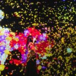 Tokyo: teamLab Planets & Toyosu Fish Market Guided Tour - The Value Proposition