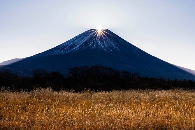 Tokyo To Mount Fuji Private English Guided Day Tour - The Verdict: Who Should Consider This Tour?