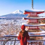 Tokyo To Mt.Fuji Day Trip With 6 Must-visit Scenic Spots - Scenic Viewpoints with a Touch of Winter Magic