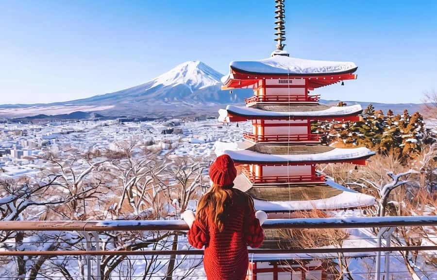 Tokyo To Mt.Fuji Day Trip With 6 Must-visit Scenic Spots - Scenic Viewpoints with a Touch of Winter Magic