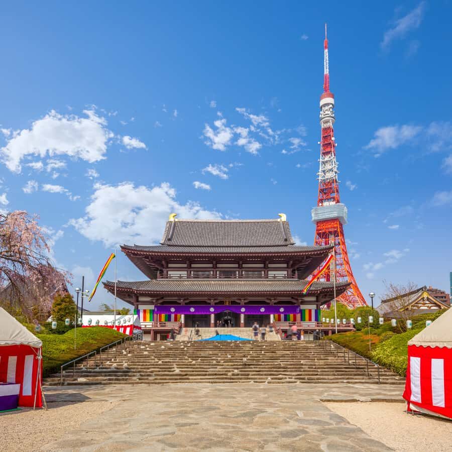 Tokyo: Tokyo Full Day Private Customized Tour - The Experience of a Private Guided Day