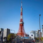 Tokyo: Tokyo Tower, Shiba Park, Zojoji Temple Walking Tour - The Value for Travelers