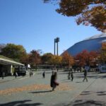 Tokyo: Totoro Forest Hiking Tour in Sayama Hills - Who Will Love This Tour?