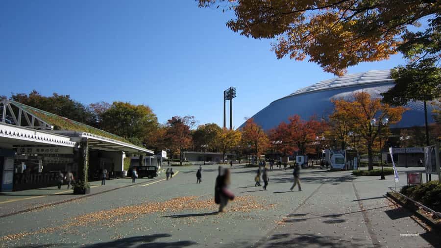 Tokyo: Totoro Forest Hiking Tour in Sayama Hills - Who Will Love This Tour?