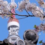 Tokyo Tower Adventure 60 Minute Scenic Rickshaw Ride - Frequently Asked Questions