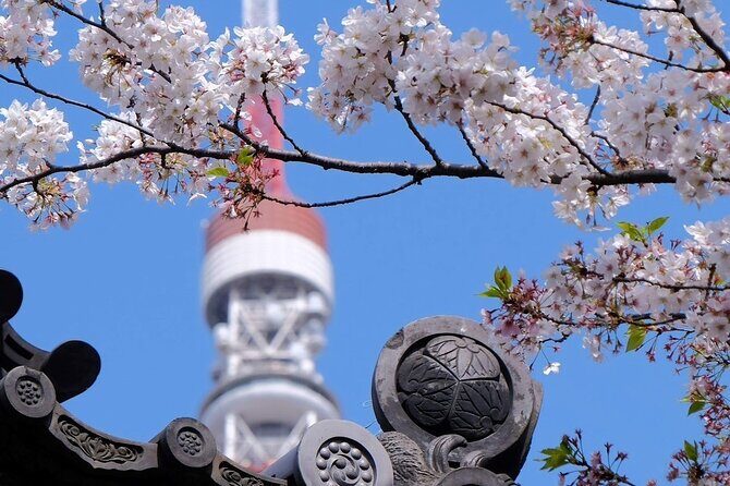 Tokyo Tower Adventure 60 Minute Scenic Rickshaw Ride - Frequently Asked Questions
