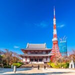 Tokyo Tower Observatory TOP DECK TOUR 150m + 250m (Special Deal) - Who Should Consider This Tour?