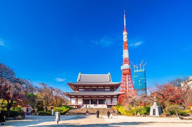 Tokyo Tower Observatory TOP DECK TOUR 150m + 250m (Special Deal) - Who Should Consider This Tour?