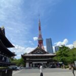 Tokyo Tower & Zojoji Temple Tour (Includes Tokyo Tower Ticket) - Practical Details & Tips