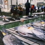Tokyo: Toyosu Tuna Auction & Tsukiji Market Gourmet Tour - Final Thoughts