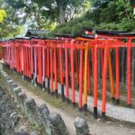 Tokyo: Traditional Backstreets Yanaka Walking Tour - What Travelers Are Saying