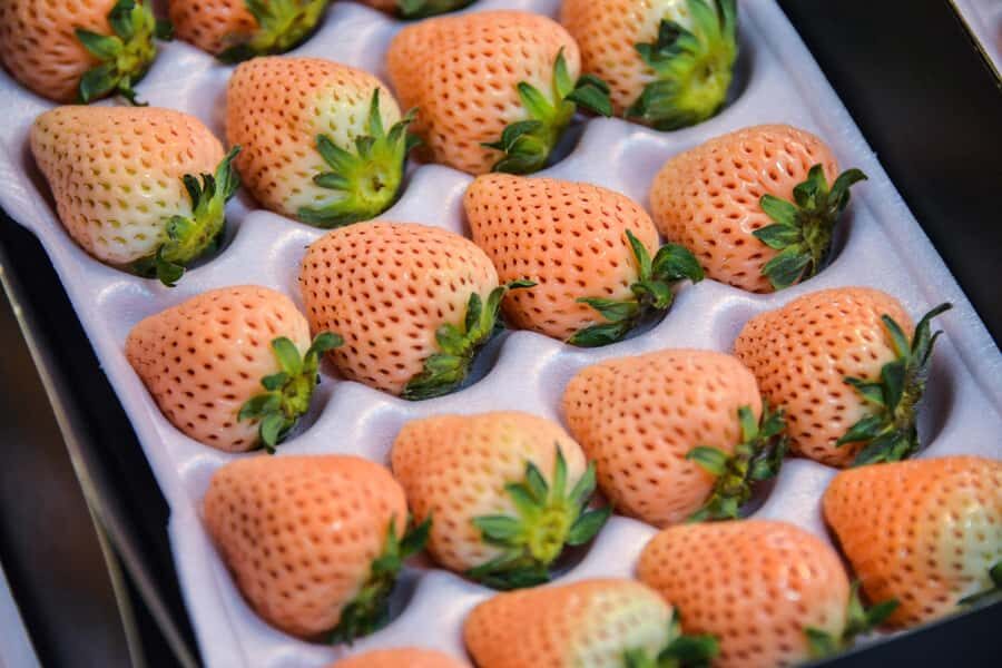 Tokyo : Tsukiji Fish Market Food Walking & Shrine Visit Tour - What Sets This Tour Apart?