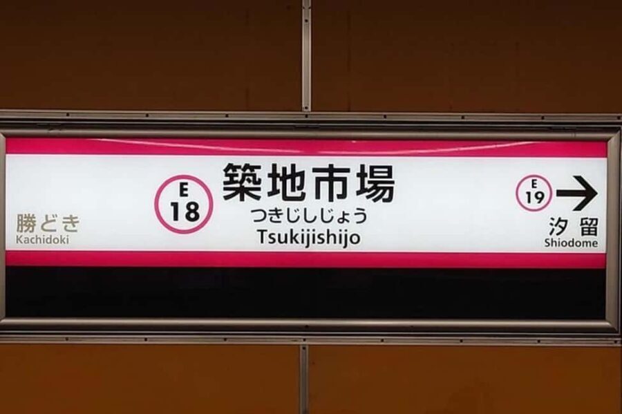 Tokyo: Tuna Auction in Toyosu and Tsukiji Fish Market Tour - Transport and Group Dynamics