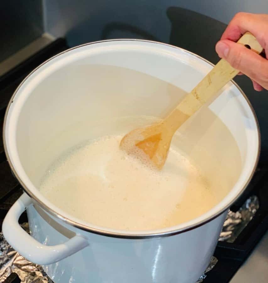 Tokyo Vegan: Tofu - Making Class from a Historic Tofu Shop - A Detailed Look at the Experience