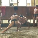 Tokyo: Visit Sumo Morning Practice with English Guide - What We Loved & What to Consider